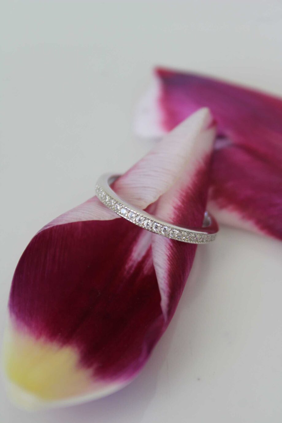 Half Eternity Ring - Silver Keeper