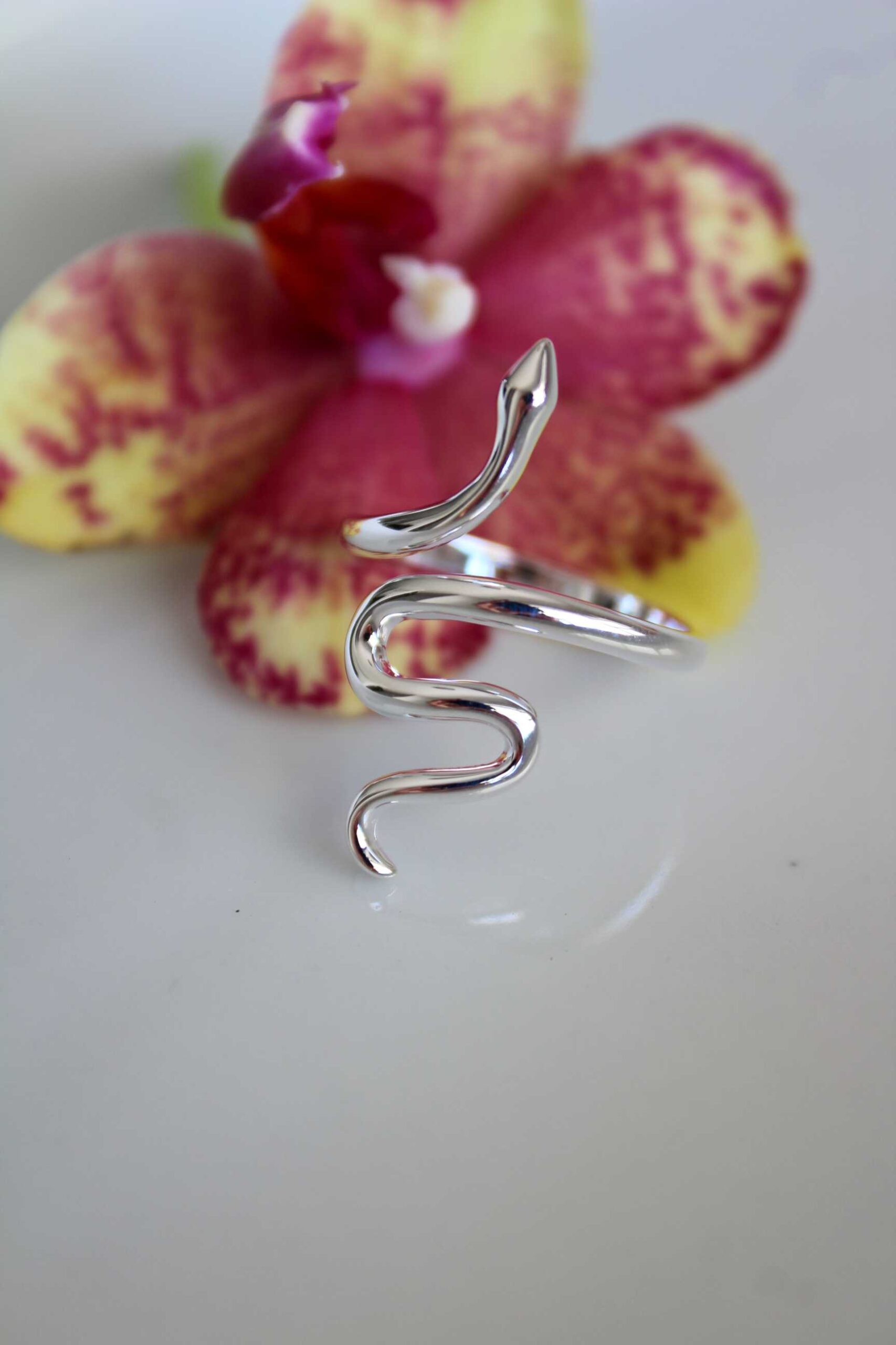 Snake Ring - Silver Keeper