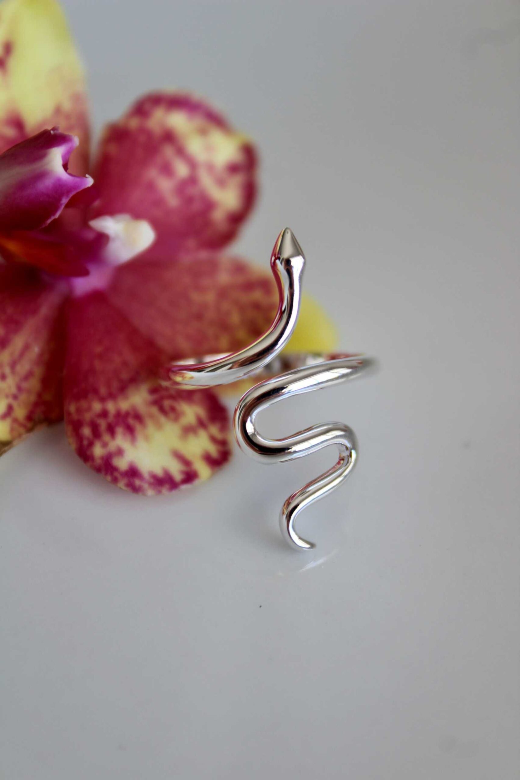 Snake Ring - Silver Keeper