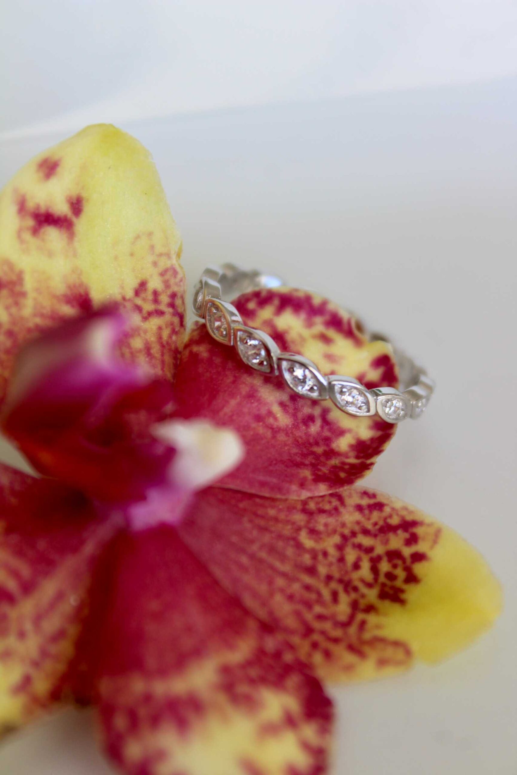 Full Eternity Ring - Silver Keeper
