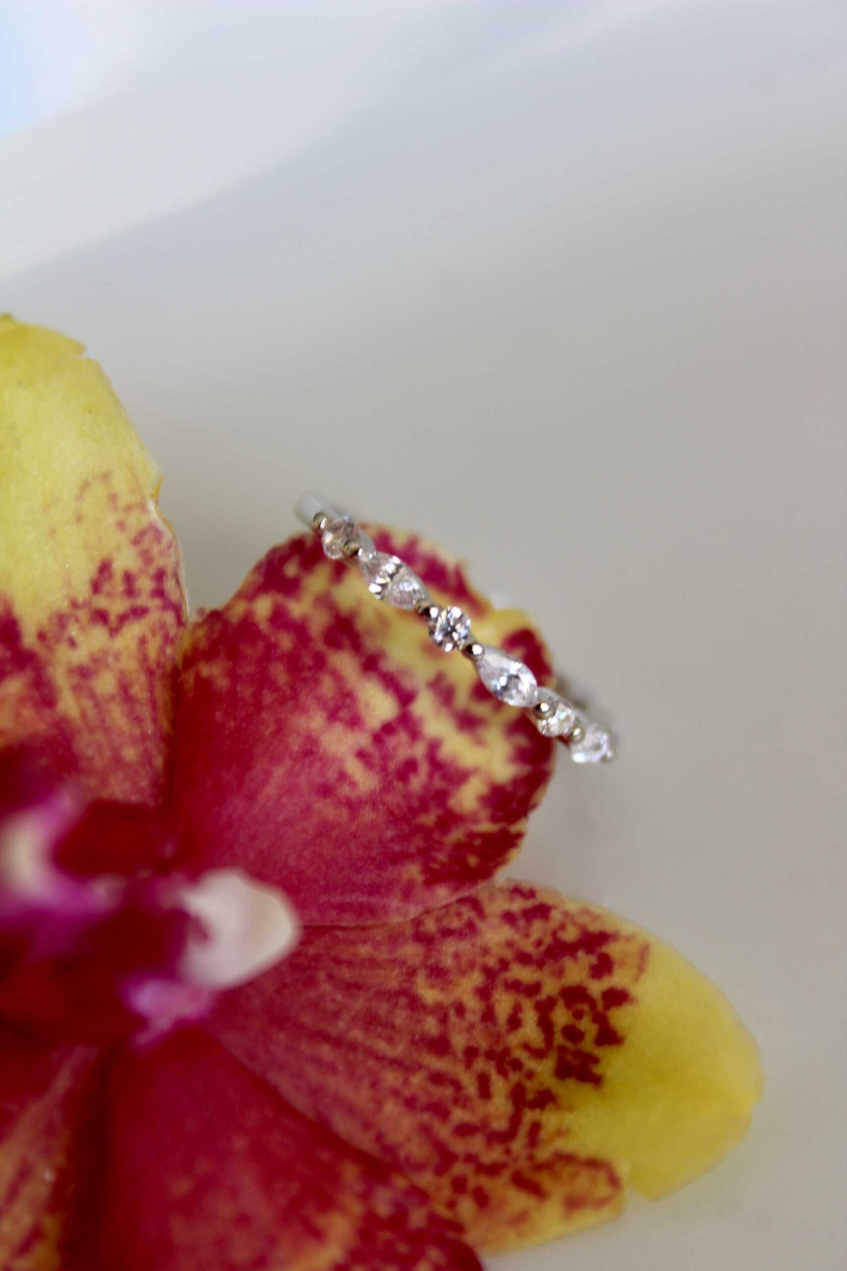 Half Eternity Ring - Silver Keeper