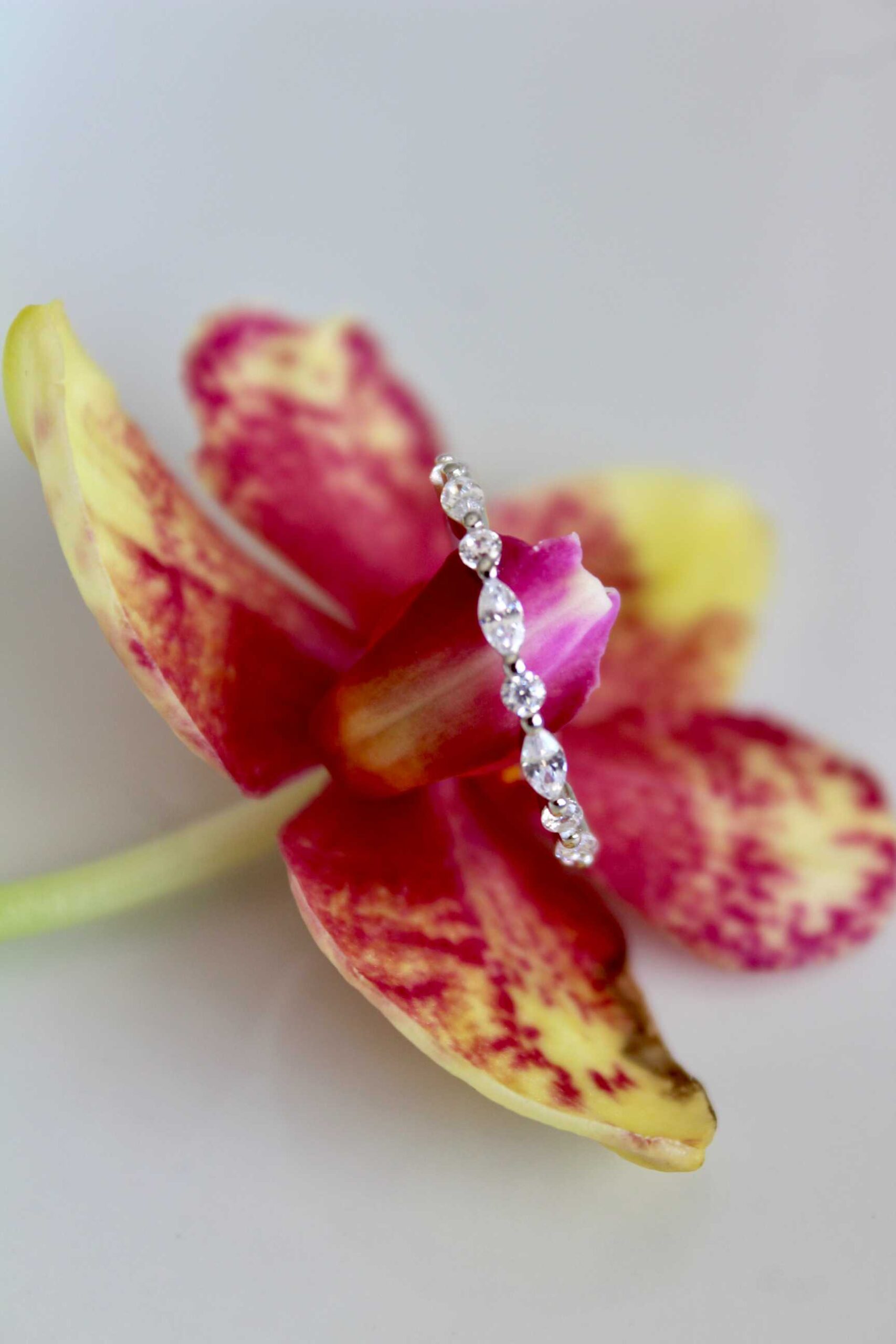 Half Eternity Ring - Silver Keeper